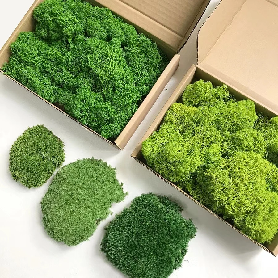 Wholesale Natural Preserved Reindeer Moss - Decorative