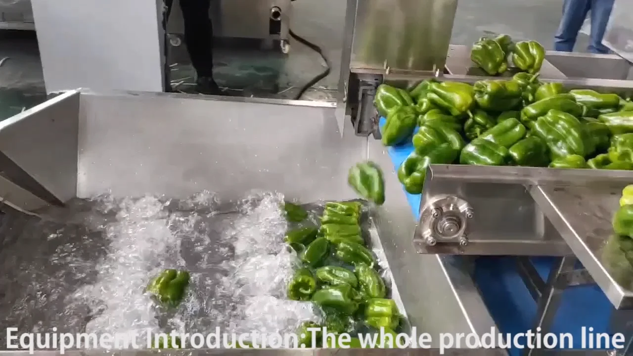 Frozen Fruit & Vegetable Processing Production Line Frozen Carrot Cubes ...