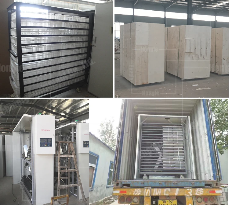 Poultry Incubator and Hatchery Inqubator Egg Incubator Automatic1000 ...