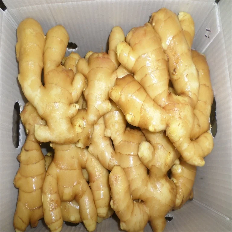Chinese New Fresh Ginger 10kg/carton,Shandong Crop,Have Store,Hot Sale ...
