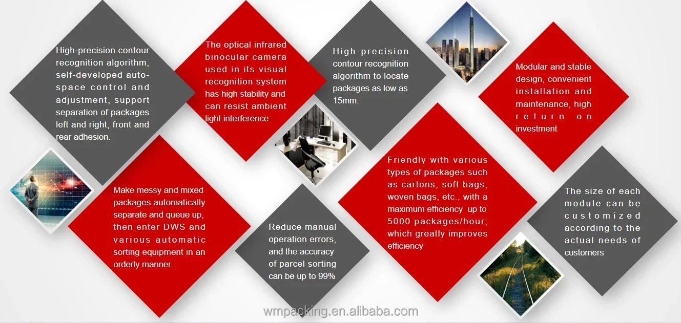 Parcel Singulation and Sorting System - High Capacity & Efficiency