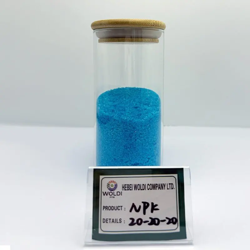 Triple 20 Fertilizer - 100% Water Soluble NPK 20.20.20