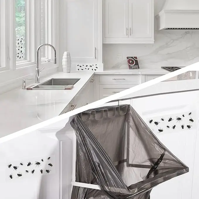 50 Pics Transparent Window Fly Traps, Sticky Fruit Fly and Plant Gnat ...