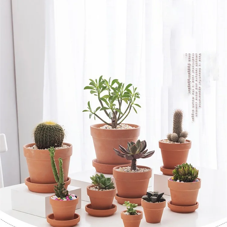 Wholesale Terracotta Pots - Perfect for Indoor & Outdoor