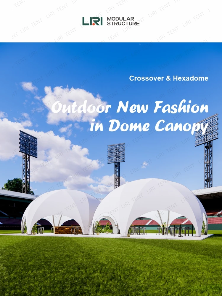 Aluminum PVC Event Hall - Geodesic Crossover & Hexadome Tent