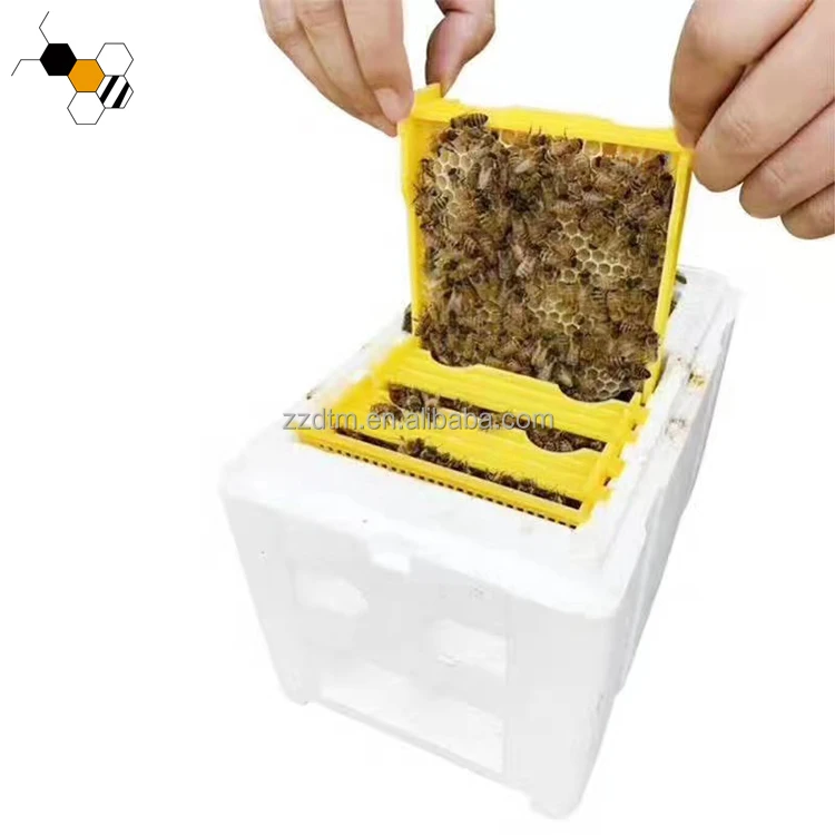 White Yellow Mating Box Nuc Box Polystyrene Bee Hive Styrofoam Mini ...