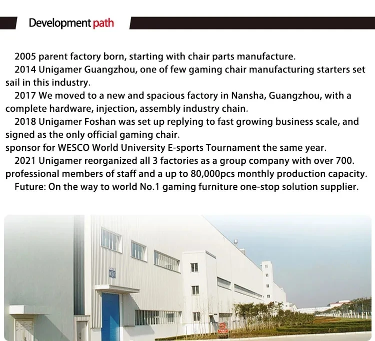 High Back Gaming Chair Racing Ergonomic Swivel Office Bride Racing ...