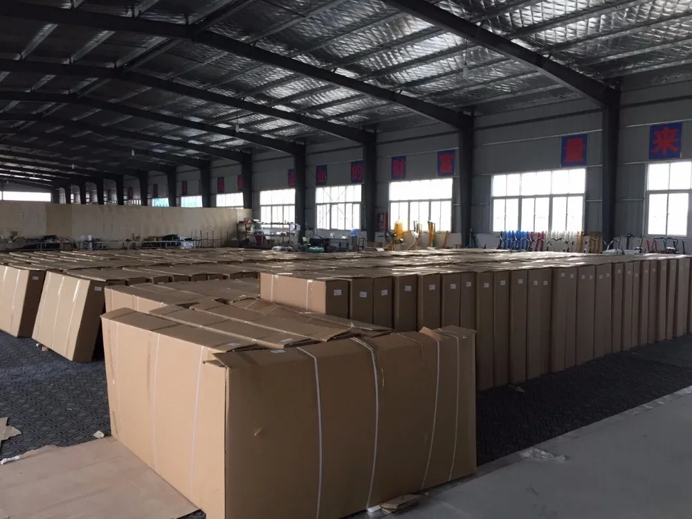 Reverse Rickshaw - Electric Pedicab for Disabled Elderly