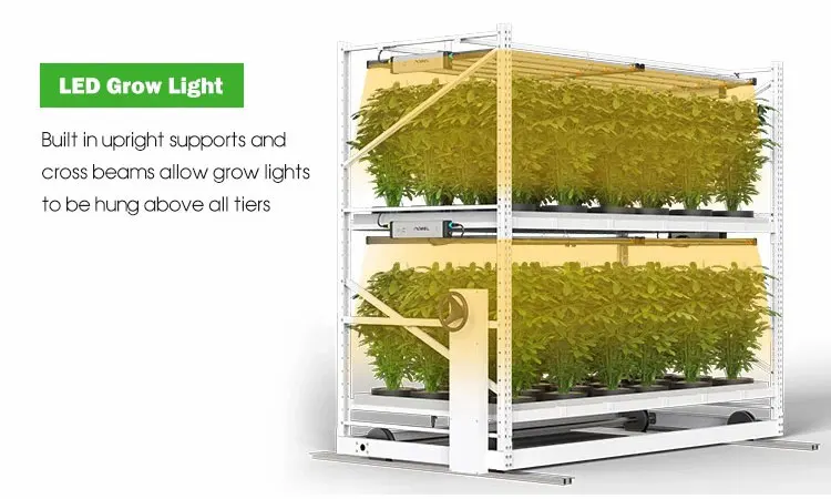 Greenhouse Vertical Farming Hydroponics Mobile Grow Rack for Planting ...