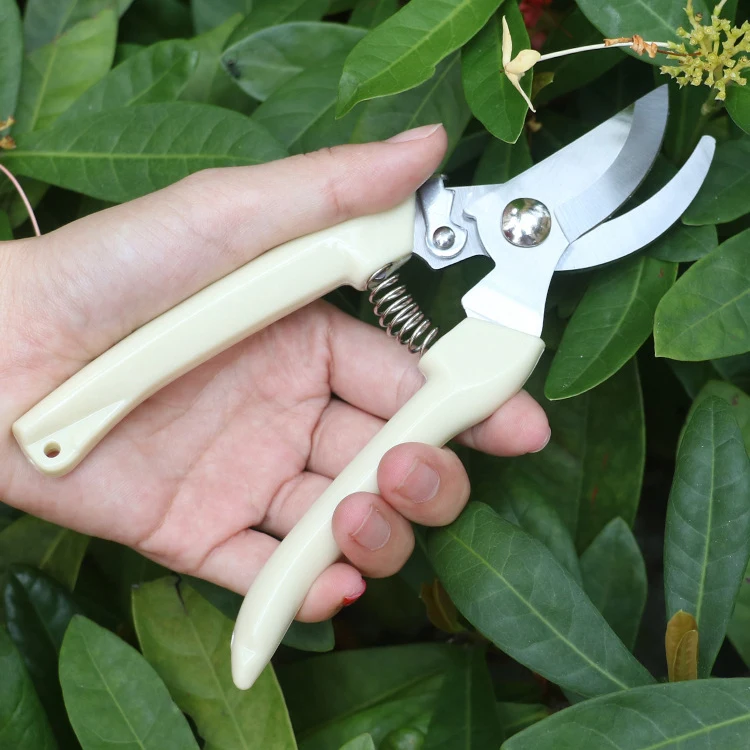 Mini Cutter Pruner Shears Pruning Shears Garden Scissors Pp Handle ...
