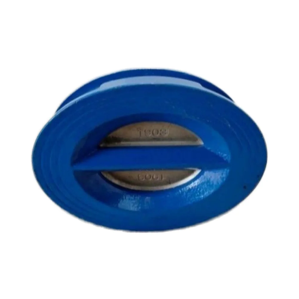 Wholesale PN16 Cast iron non return wafer check valve Stainless Steel ...