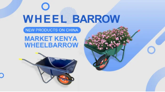 H831a032be73b4945bd8e6f046785ddcaj Jpg