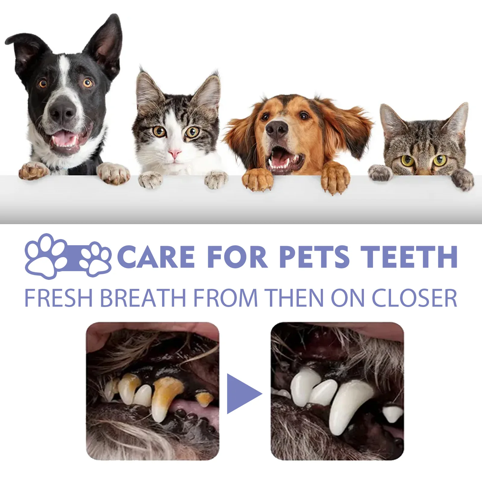 Wholesale Yegbong Natural Safe Oral Spray For Cats And Dogs Odor ...