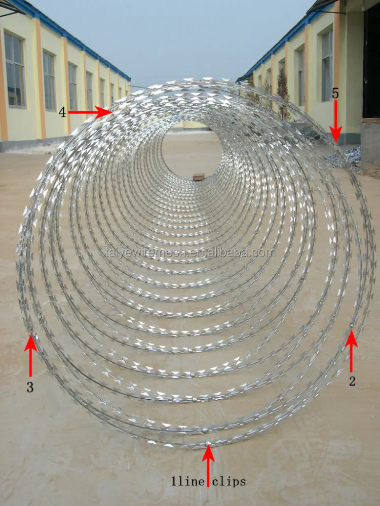 Concertina Electric Galvanized Razor Barbed Wire BTO22