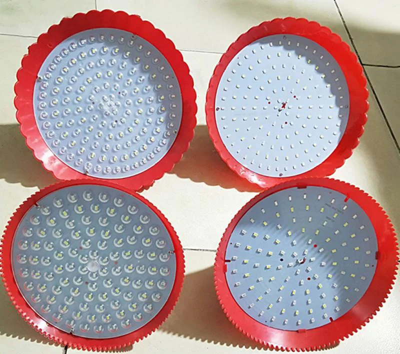 24w E27 Fresh Pork Light - Efficient LED Lighting Solutions