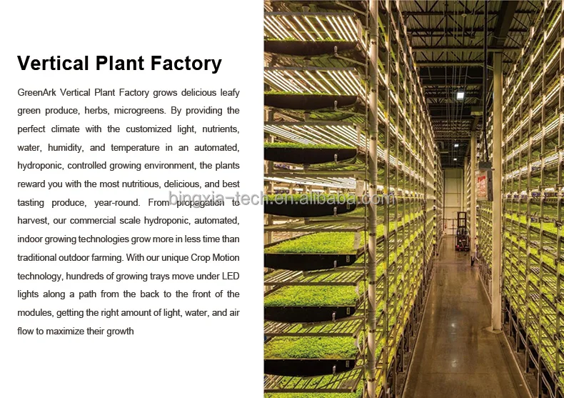 Hydroponic Fodder Machine Seed Planter Machine Aeroponic Growing System ...