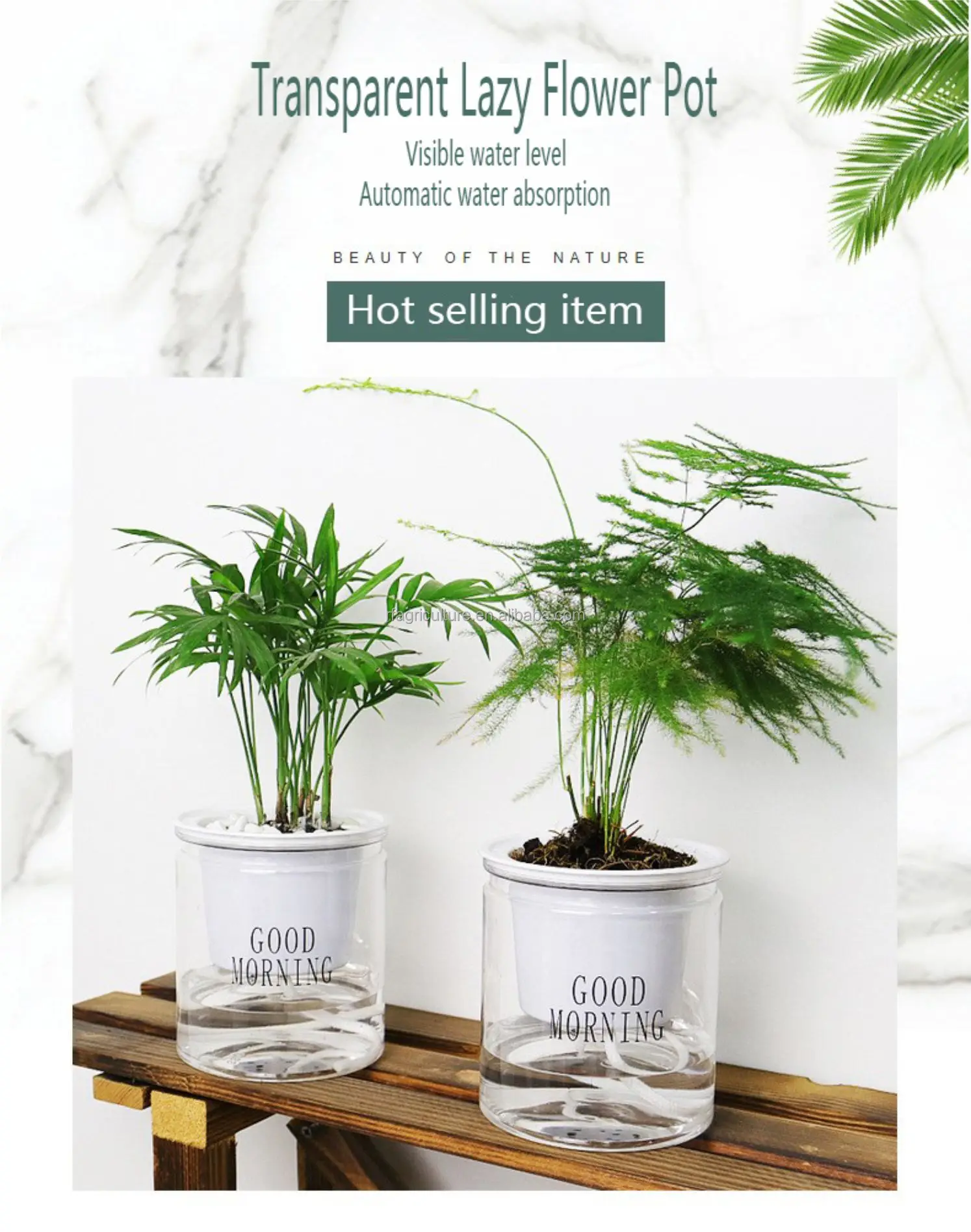 Hydroponic Flower Pot - Self-Watering, Transparent Design