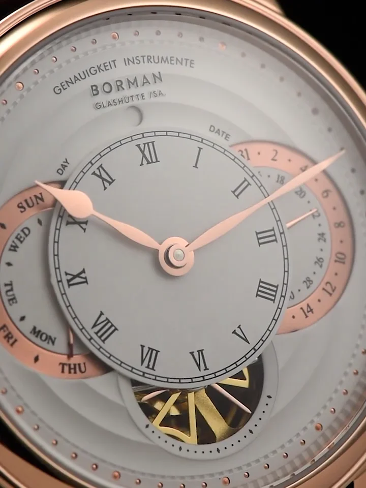 Borman Oem Men Luxury Mechanical Watch Stainless Steel Diver Custom ...