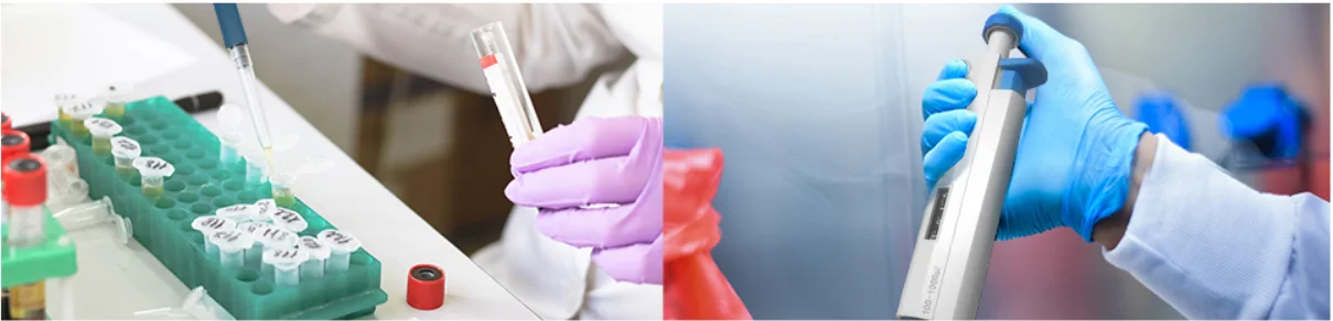 Medical Equipment Lab Automatic Pipettes Pipettor Holder Rack