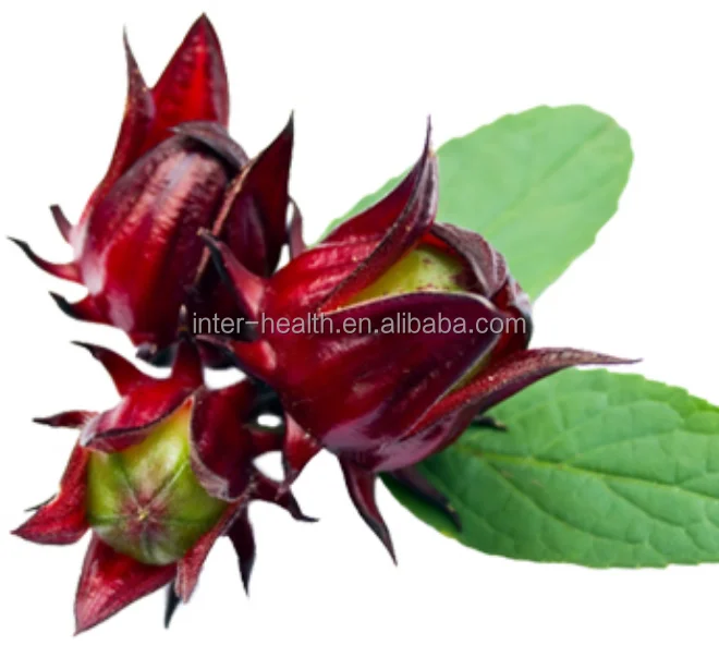 Wholesale Bulk Roselle Extract Hibiscus Flower Powder 5% -50% Roselle ...