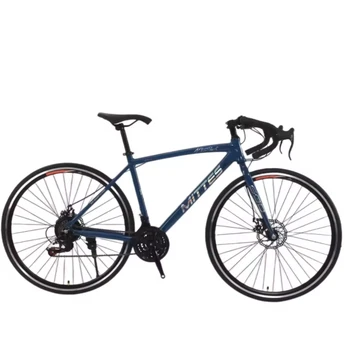 Company Overview - Hebei Xuxiang Bicycle Co., Ltd.