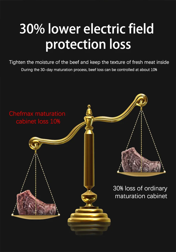 Chefmax Beef Dry Aging Machine - High Efficiency & Low Cost