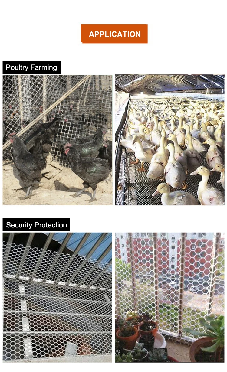 Livestock Chicken Net Broiler Egg Chicken Plastic Ground Net