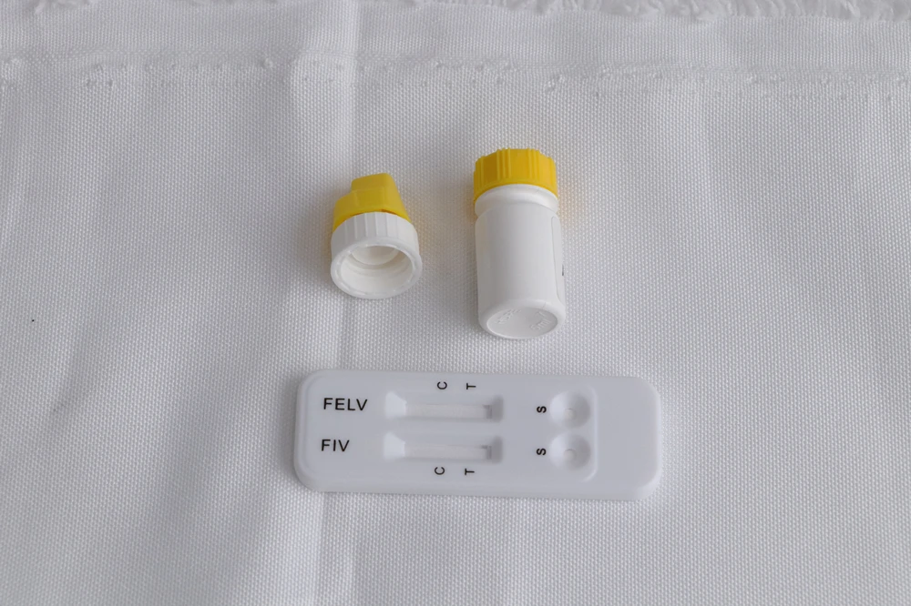 Feline Immunodeficiency Antigen Leukemia Antibody Test Cat Fiv Ab Felv ...