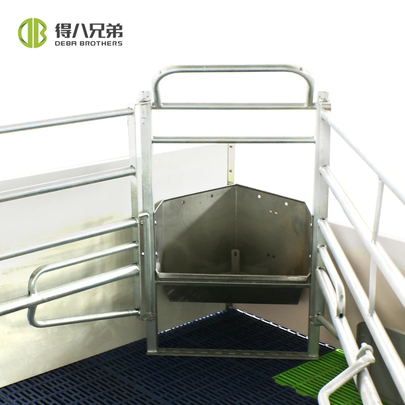 Factory Direct Sale Welfare Farrowing Crate for Pig Farm Open Design ...