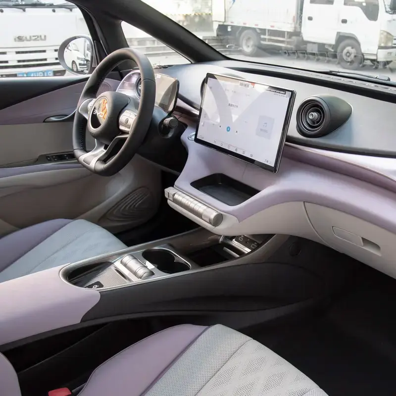 Alibaba.com: BYD DOLPHIN 2023-2025 Knight Champion Edition electric car ...