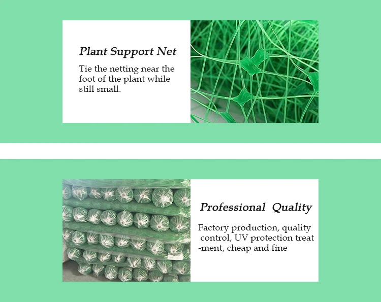 Plant Support Trellis Mesh Net Climbing Fence Plant Netting For Plant ...