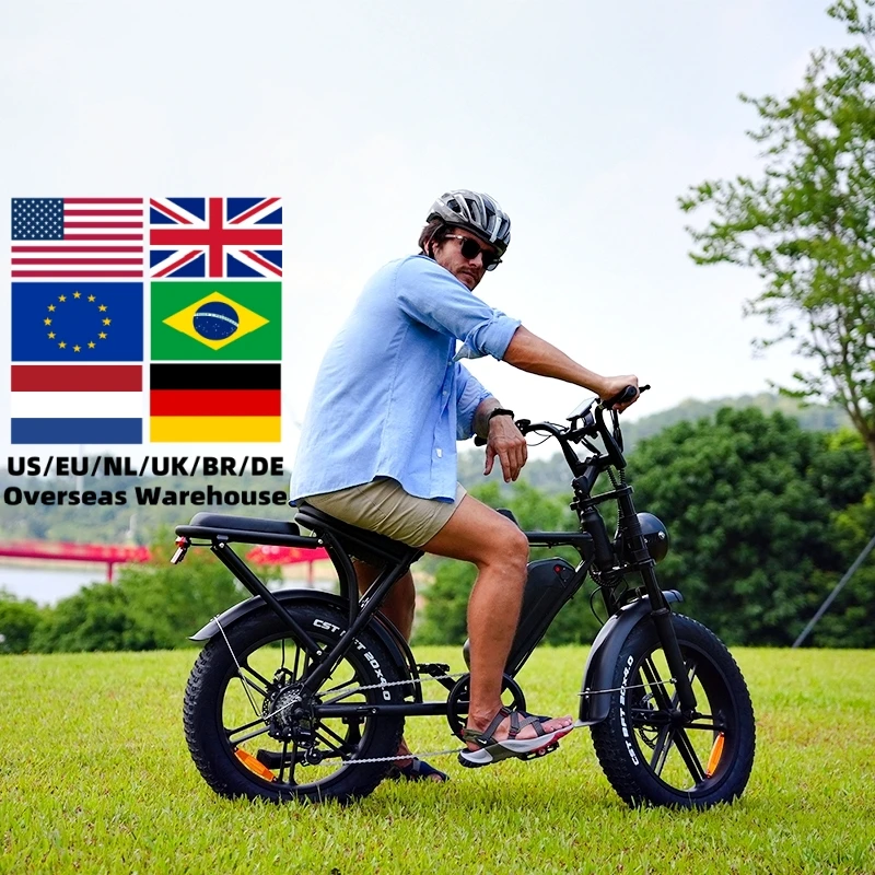 20-inch Electric Mountain Bike Fat Tire Bicycle Ouxi V8 3.0 With 21 ...