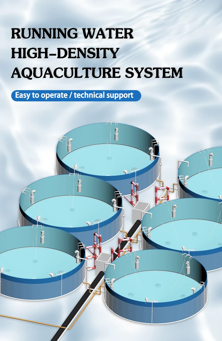 High-density Aquaculture System Tanks for Tilapia Farming