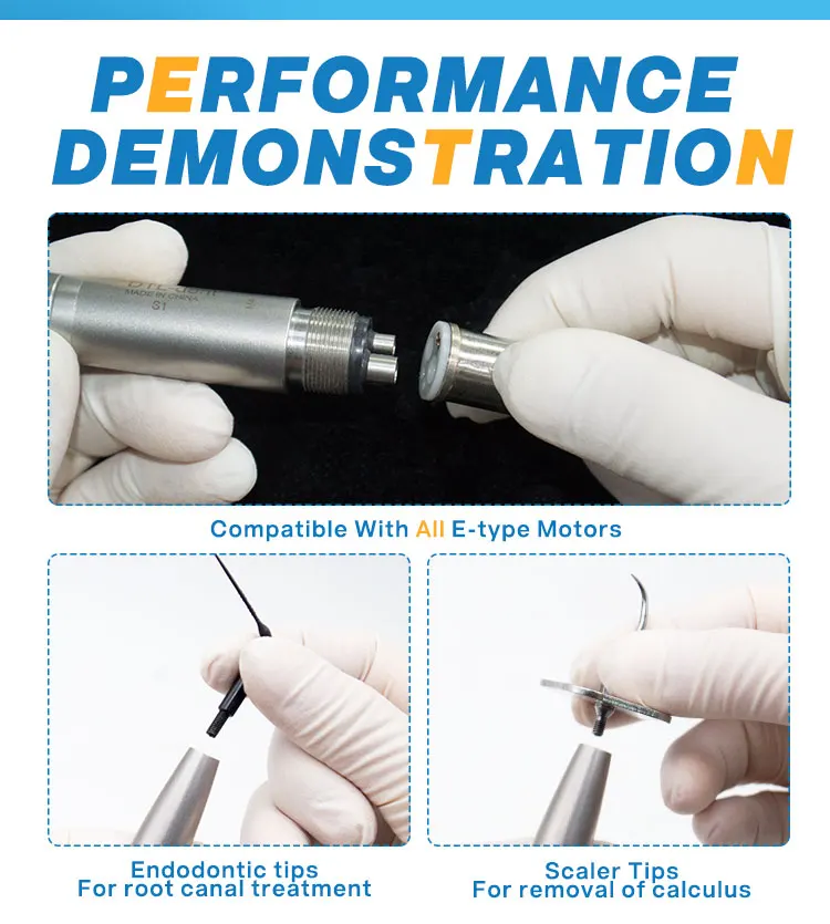 Dtl Air Ultrasonic Scaler For Oral Therapy Equipment 2 Holes 4 Holes ...