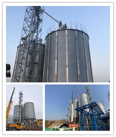 Grain Storage Silos 500-10000 Ton - Galvanized Steel Paddy Rice Silos ...
