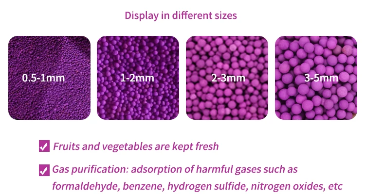 Ethylene Absorbers - Purify Air & Preserve Fruit Quality