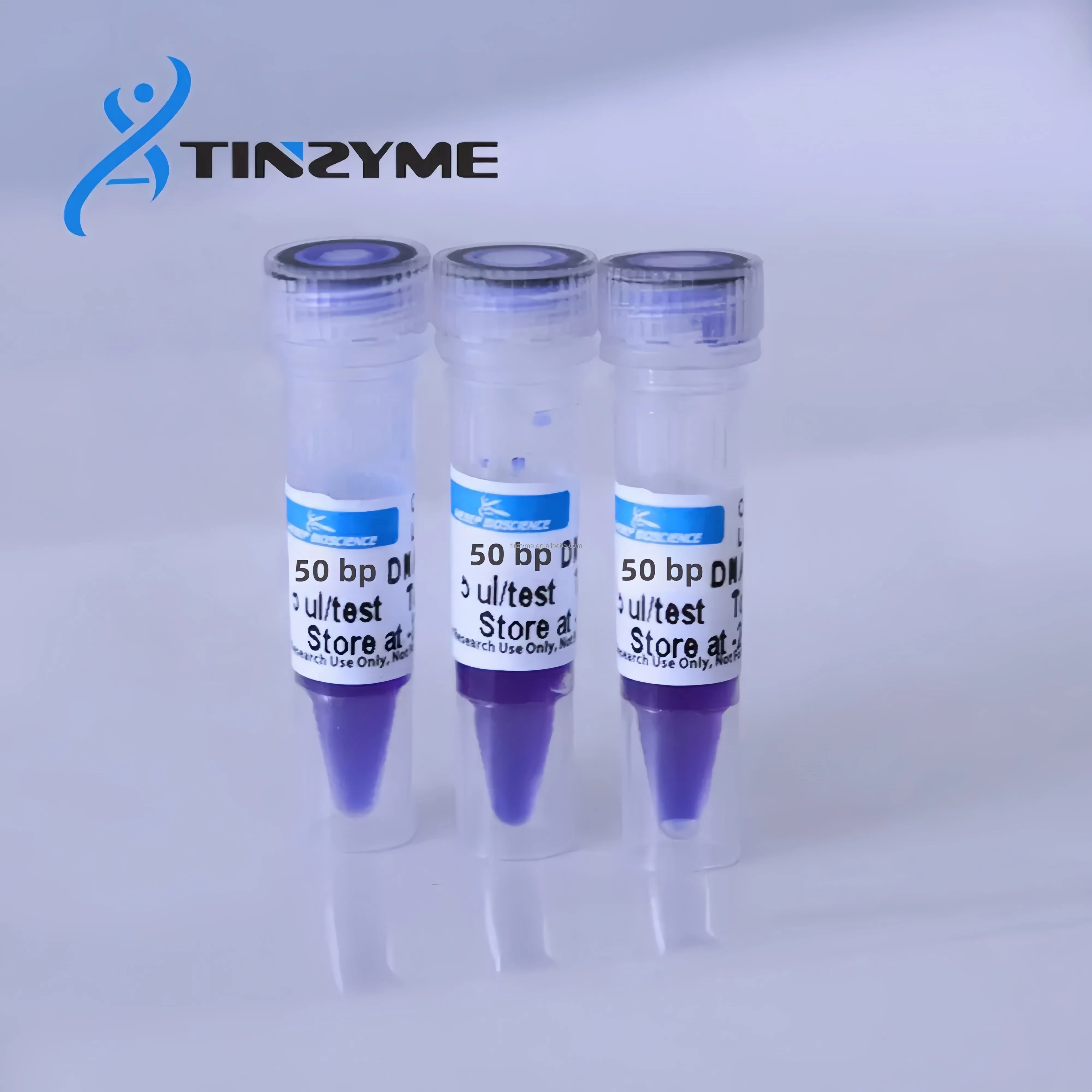 Tinzyme 50bp DNA Ladder Marker - Clean Background, Clear Bands