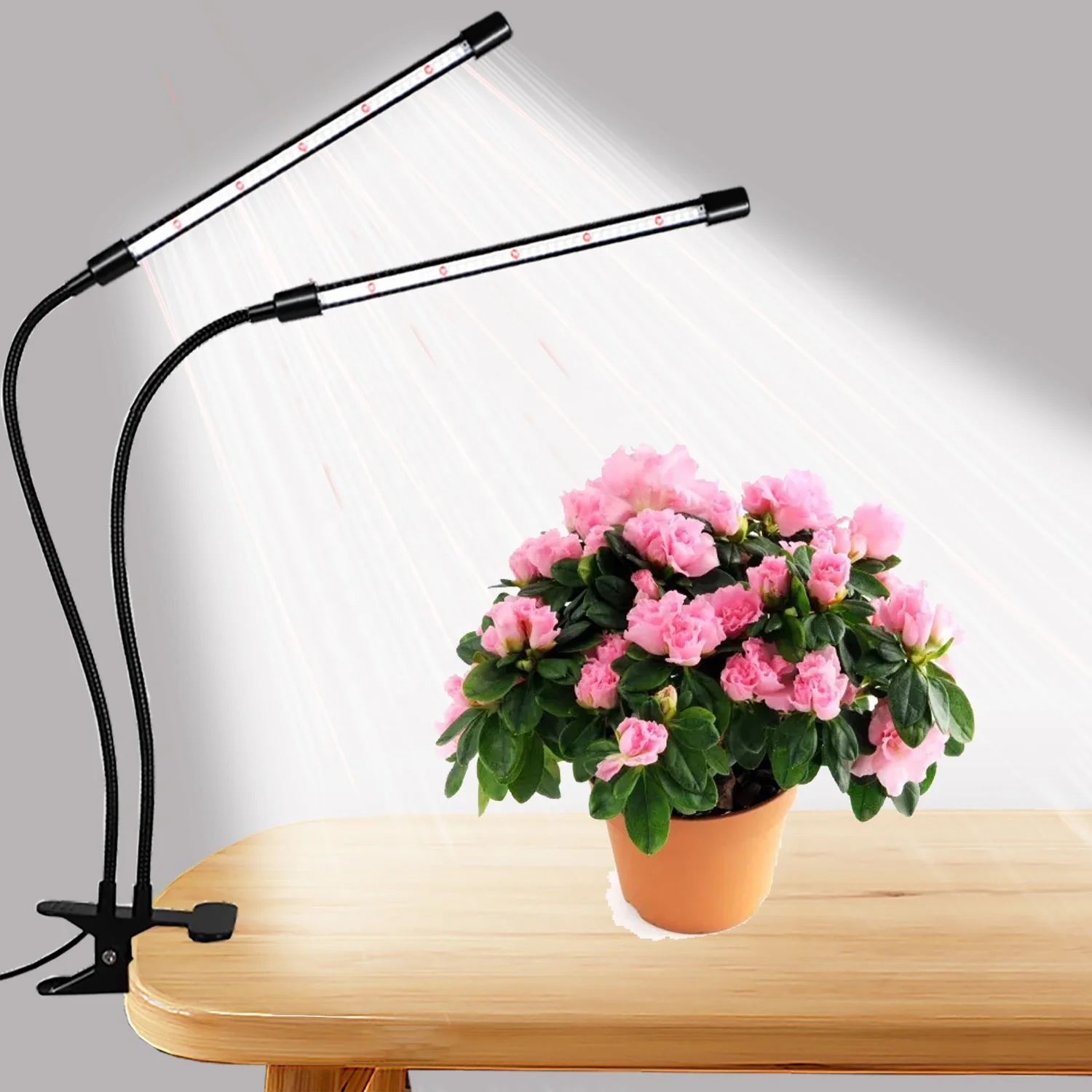 Upgrade Indoor Plant Led Clip Growing Lamp,20w 84leds 3modes 10dimmable ...