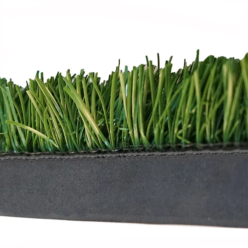 Athletic Facilities Indoor Soccer Fields Gym Seamless Professional ...