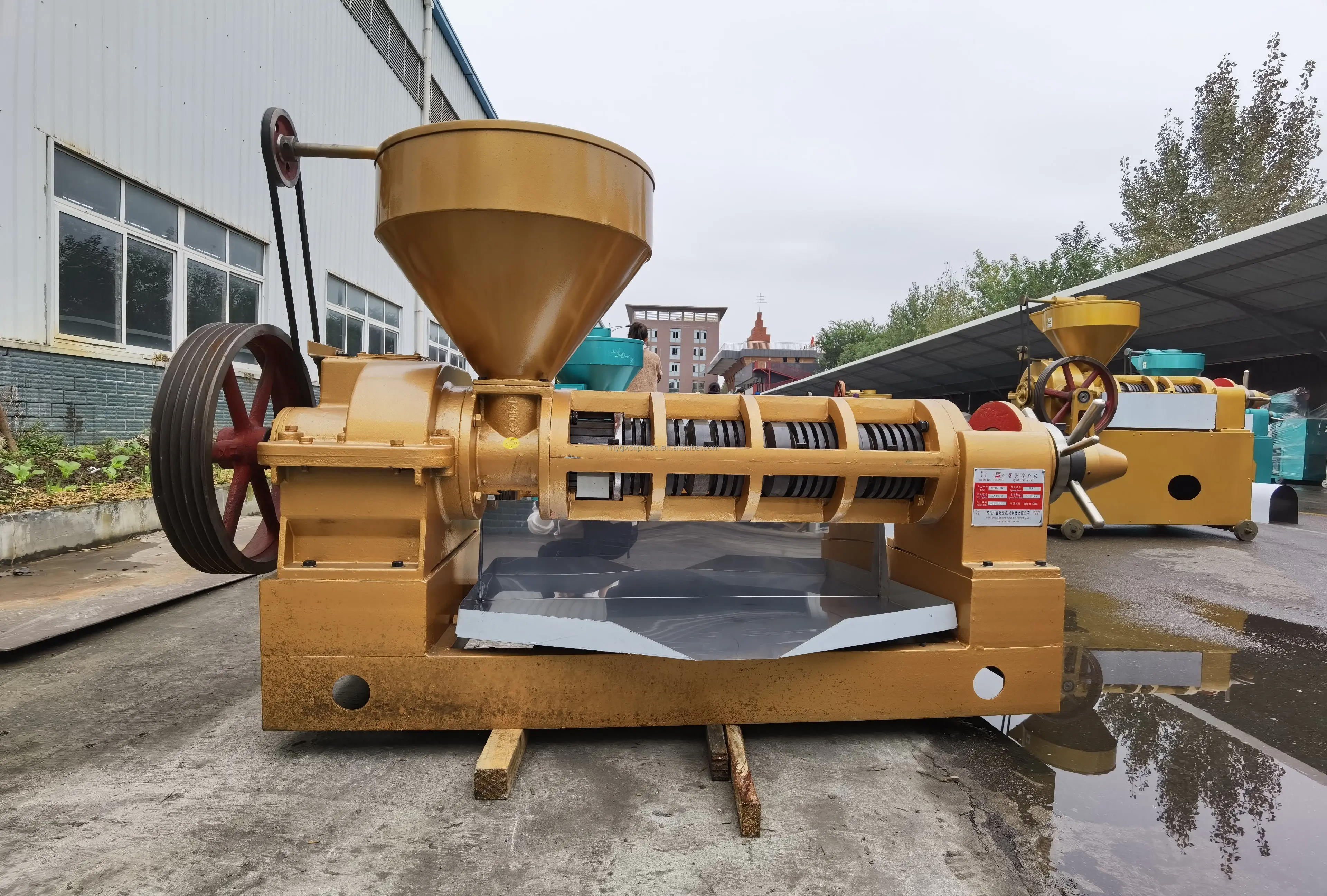 Large Capacity YZYX140CJGX Cold Oil Press Machine for Vegetable Oil Making