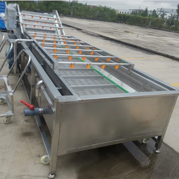 Fruit & Vegetable Bubble Cleaning Machine - High Efficiency
