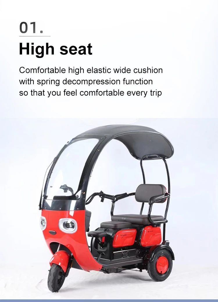 2024 New Open-air Electric Tricycle With Cover 48v 800w Park Viewing ...