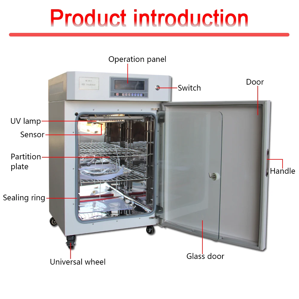 80L Carbon Dioxide Incubator - Precision for Lab Culture