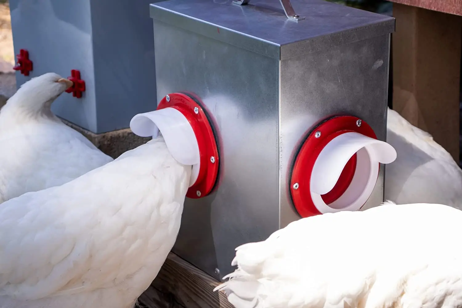 Outdoor Weatherproof Metal Poultry Container With Elbow Feeder Kit Hanging Rat Proof Chicken ...