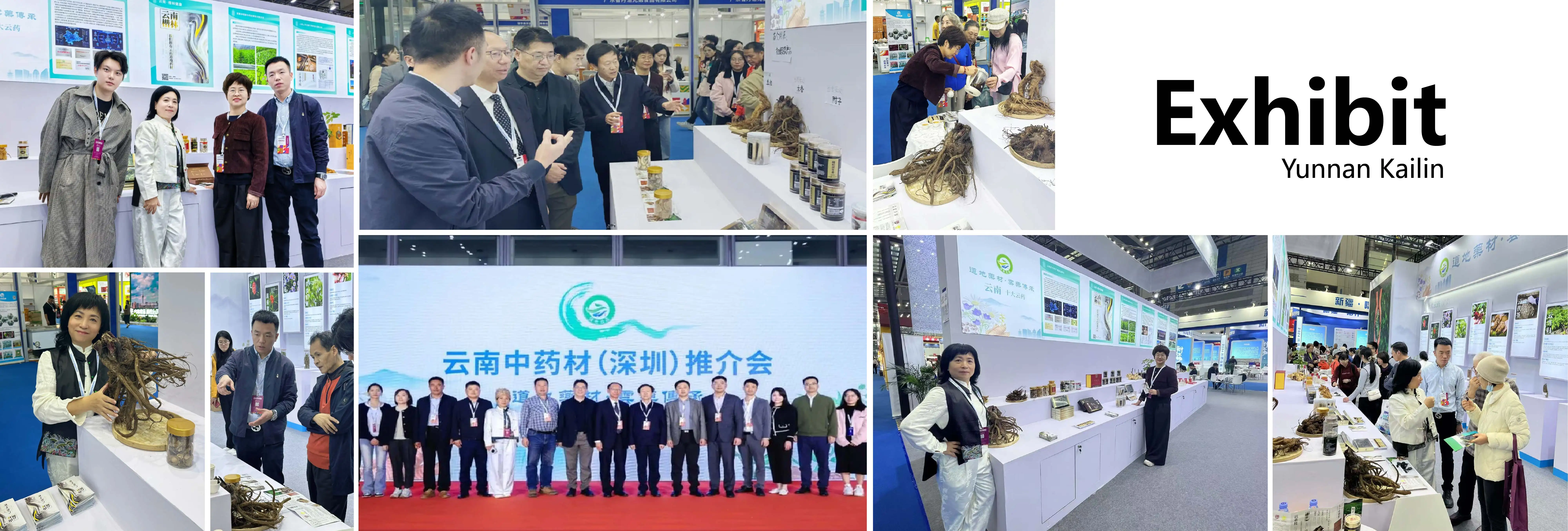 Wholesale Desert Herbs - Cistanche Deserticola Extract