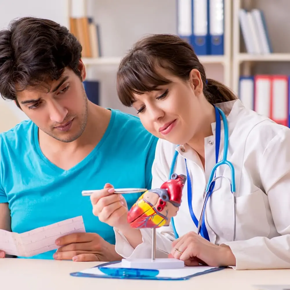 Human Heart Bypass Surgery Training Model for Medical Science