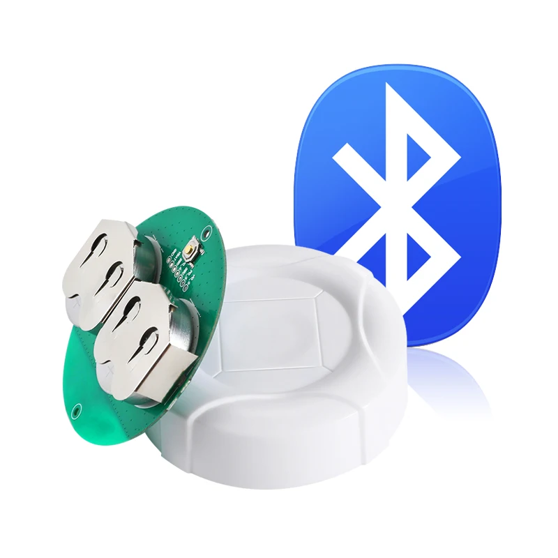 DX-SMART Iot Ultra Long Range Ibeacon - 5 Year Battery Life