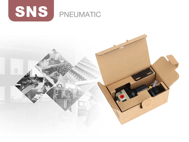 SNS AR3000-N02 Pneumatic Air Pressure Regulator with Gauge