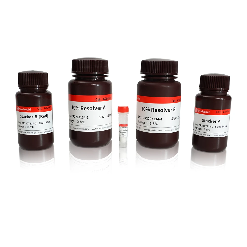 10% Sds-page Colorful Red Ultra-fast Gel Preparation Kit - Buy ...