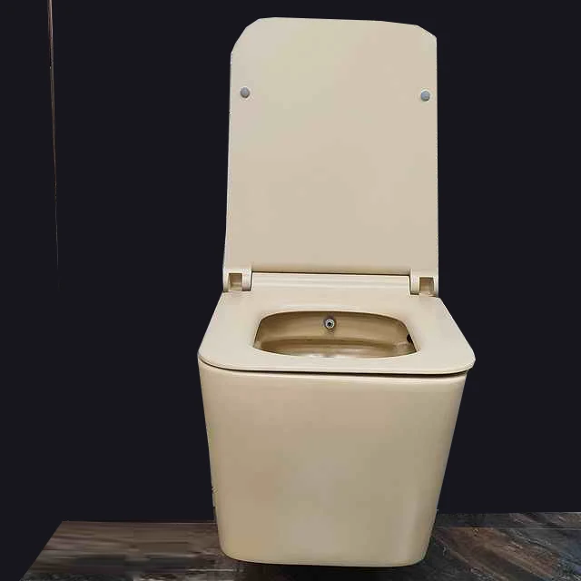 Blue Wc Bathroom Porcelain One Piece Toilet W/c Washdown Closet Indoor ...